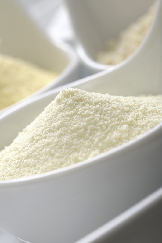 Skimmed milk powder for the food industry | EPI Ingredients
